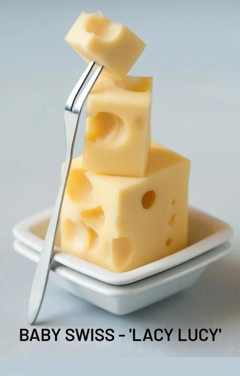 Swiss Cheese – The Spotted Cow Fromagerie